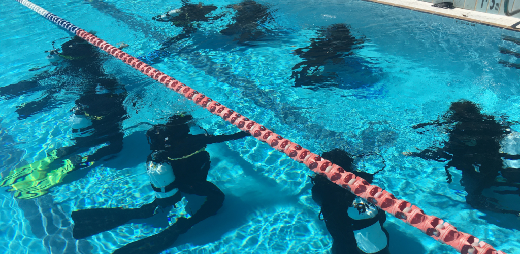 Naperville Central High School Girls Swim and Dive: A Legacy of Dedication